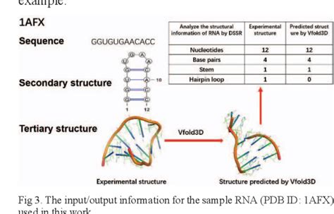 Figure 1 From An Integrated Tool For Rna 3d Structure Prediction And