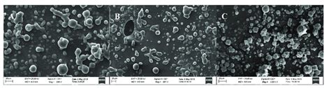 Powder Morphology Of Spray Dried Powders Stored At 37 • C And 033 A W