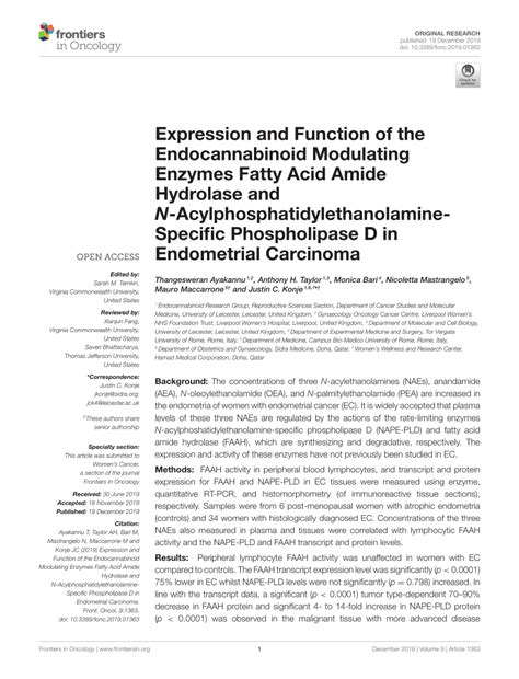 Pdf Expression And Function Of The Endocannabinoid Modulating Enzymes Fatty Acid Amide