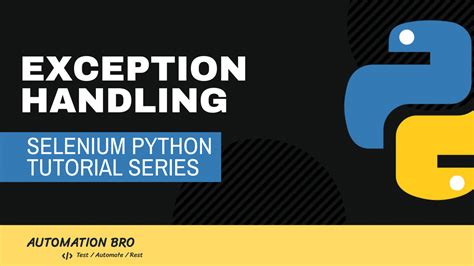 Selenium Python Exception Handling SDET Unicorns