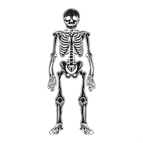 Premium Vector Black And White Skeleton Vector
