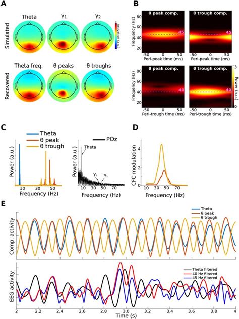 Figures And Data In Multivariate Cross Frequency Coupling Via Generalized Eigendecomposition Elife