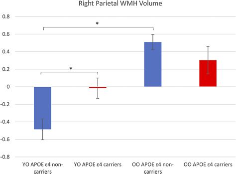 Impact Of Age And Apolipoprotein E ε4 Status On Regional White Matter