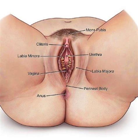 Thanks I Hate The Vagina With Teeth Rwowiactuallyhatethis