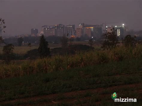 ယနေ့ညပိုင်း မြင်တွေ့ရသည့် ကျားဖြန့်နာမည်ကြီး ရွှေကုက္ကိုလ်မြို့သစ်နှင့် Kk Park Bur Mizzima Com