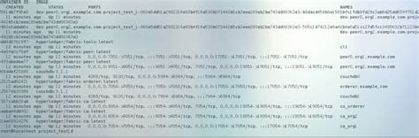 Docker How To Read A Ledger File Of A Local Hyperledger Fabric Stack Overflow