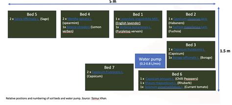Designing Dynamic Data Driven Digital Twin Systems In Ecology DDDAS DT
