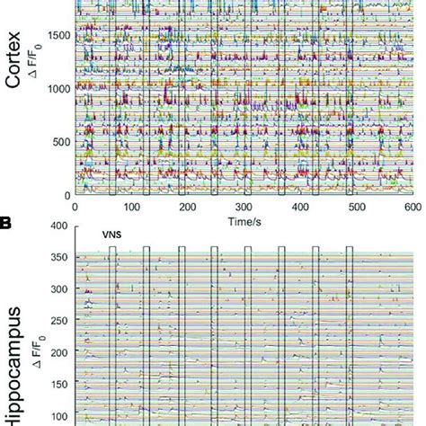 Characteristics Of Calcium Signaling Of Neurons In The Cerebral Cortex Download Scientific