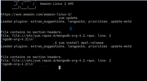 Amazon Web Services Aws Ec2 Trying To Install Ern Stack But Always Says File Contains No