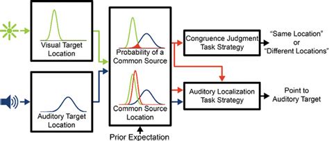 Audiovisual Spatial Integration Model Auditory And Visual Target Download Scientific Diagram