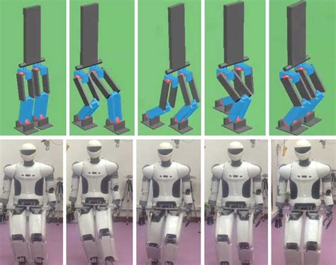 simulation and experimental validation of walking at speed 0 5 km h