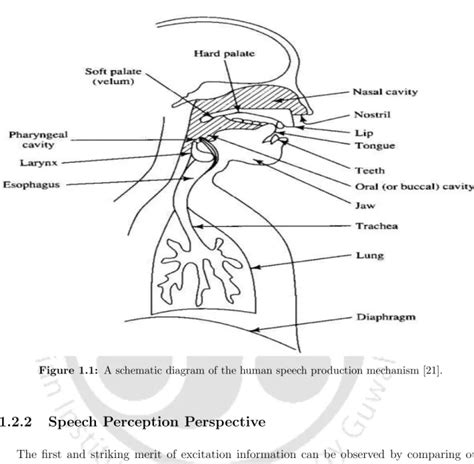 Subsegmental Segmental And Suprasegmental Processing Of Lp Residual
