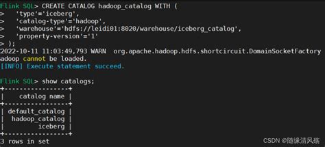 第二章 Flink集成iceberg的集成方式及基本sql使用iceberg01 Hive312 Flink114 Csdn博客