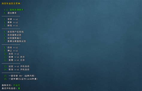 用x Ui 10秒建梯子 Xray面板 X Ui 保姆级新手指南你奶奶看了都会做 胖橙博客
