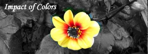 Applied Data Mining In Gurgaon Id 7689256112