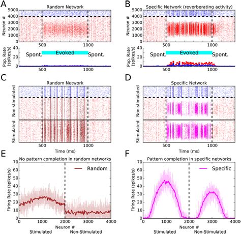 Reverberating Activity And Pattern Completion In Networks With Specific Download Scientific