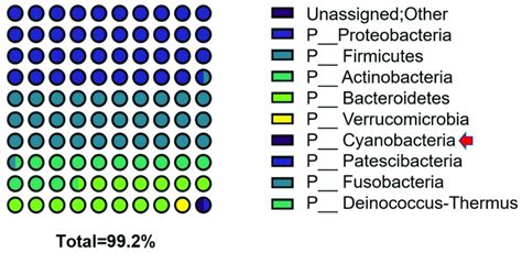 A 10 × 10 Dot Plot Graph Resulting From The Analysis Of The Microbiome