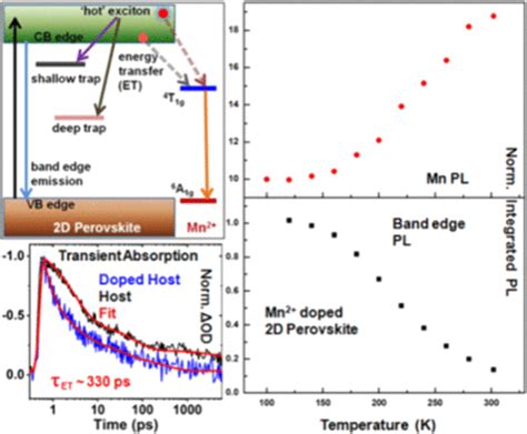Mn 2 掺杂（c 4 H 9 Nh 3 ） 2 Pbbr 4 二维（2d）层状钙钛矿中随温度变化的光致发光和能量转移动力学 The Journal Of Physical