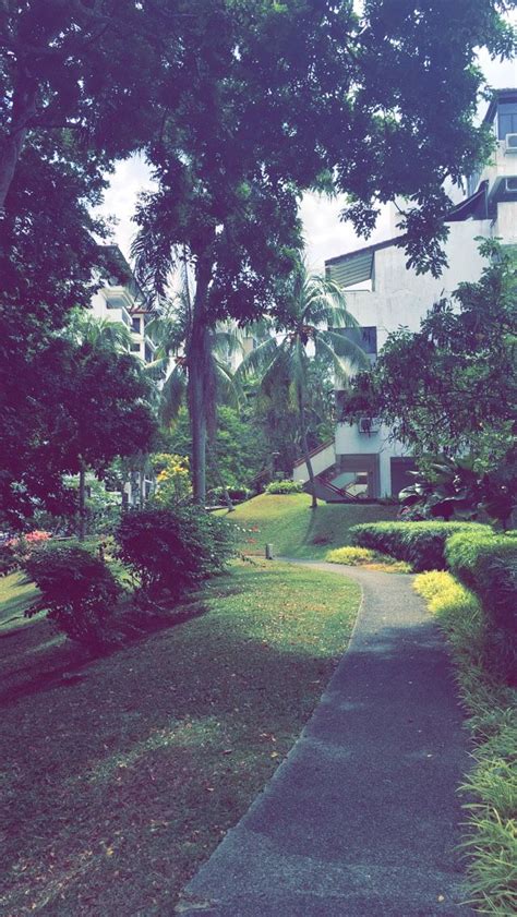 The Nerd Decides To Go Outside Online Lessons Spanish Lessons Spanish Conversation