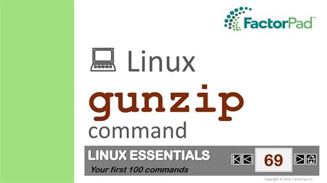 Linux Gunzip Command Summary With Examples YouTube