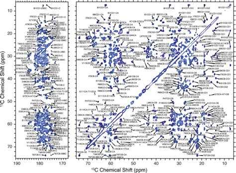 通过固态 Nmr 对水合良好的核小体核心颗粒中的组蛋白 H2b 进行结构和动力学研究communications Biology X Mol