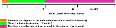 Schematic Representation Of Time To Distant Recurrence Interval
