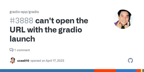 can t open the url with the gradio launch · issue 3888 · gradio app gradio · github