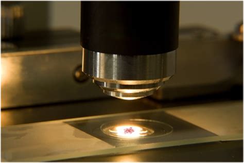 The Guys Of Bioprocess Technology Lab 1 Principles And Use Of Microscope