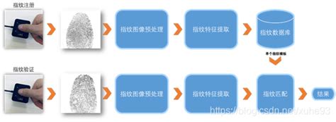 指纹识别技术详解 Csdn博客