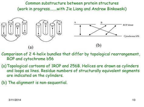 Ppt Algorithmic Problems Related To Sequences And Phylogenetic Trees Powerpoint Presentation