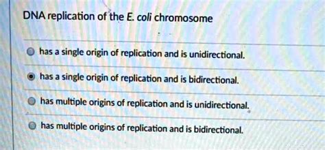 Solved Dna Replication Of The E Coli Chromosome Has A Single Origin Of