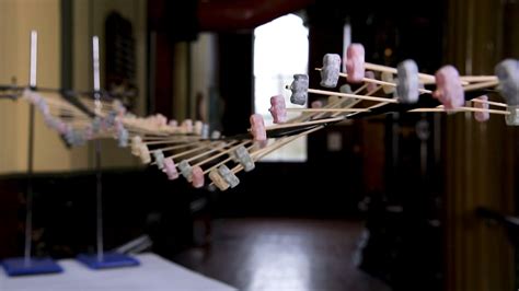 The Wave Equation Wave Parameters And Behaviours National Physics Revision BBC Bitesize