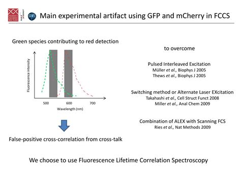 Ppt Fluorescence Lifetime Correlation Spectroscopy Powerpoint