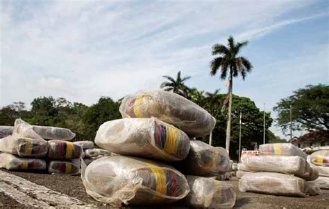 Dvb ပနားမားရဲတပ်ဖွဲ့က မူးယစ်ဆေးဝါး ၅ တန် သိမ်းဆည်းမိ