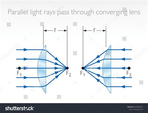 Parallel Light Rays Pass Through Diverging Stock Vector Royalty Free 1693028971 Shutterstock