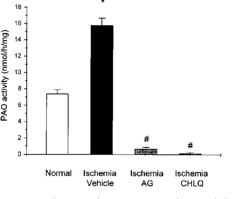 Figure 1 From Cerebral Ischemia Enhances Polyamine Oxidation Identification Of Enzymatically