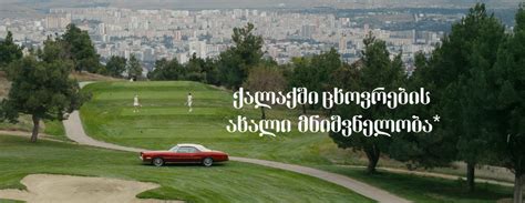 Undp Georgia 🌳 რუსთაველი ახალგაზრდები და ადგილობრივი არასამთავრობო ორგანიზაციები ქალაქის