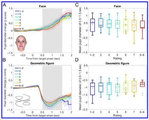 Pupil Response Results In Experiment 5 Baseline Pupil Response Pattern