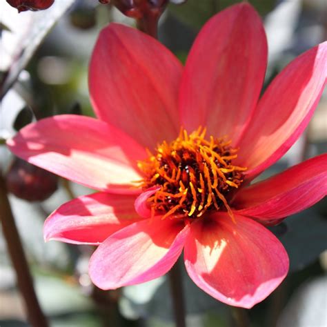 Applejack Barn Applejack Barn Added A New Photo