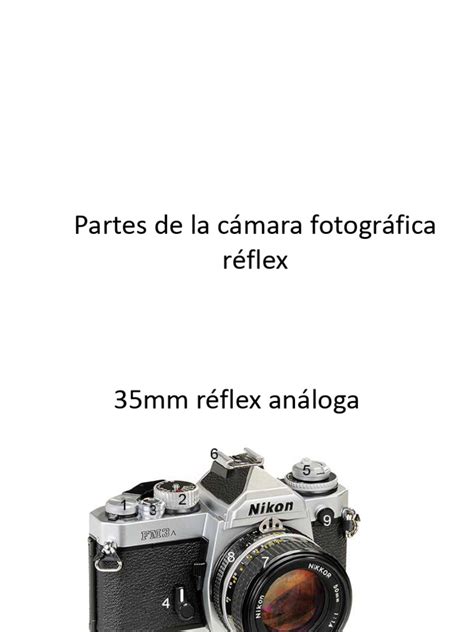 Partes De La Cámara Fotográfica Réflex Pdf