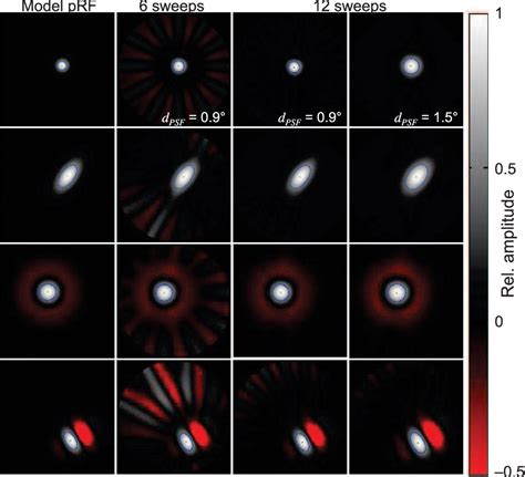 Figure 2 From Measurement Of Population Receptive Fields In Human Early Visual Cortex Using Back