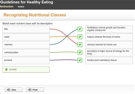 Match Each Nutrient Class With Its Description