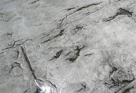 A Flat Roof Problem Cladding Coatings
