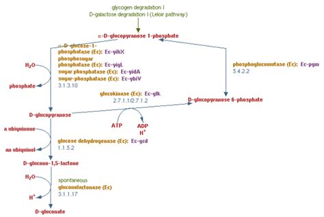 Enzyme Activity Measurement Of Glucose 1 Dehydrogenase Pqq Quinone