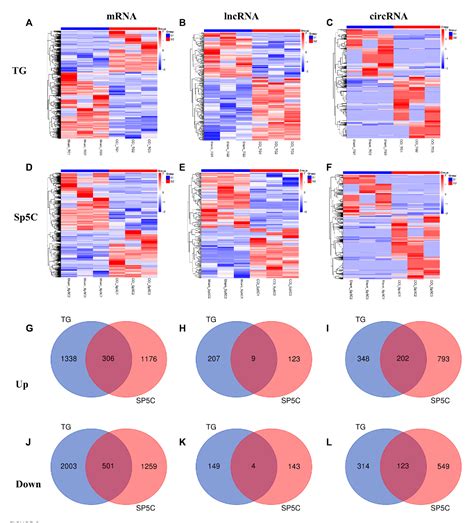 Figure 1 From Transcriptome Wide Analysis Of Trigeminal Ganglion And