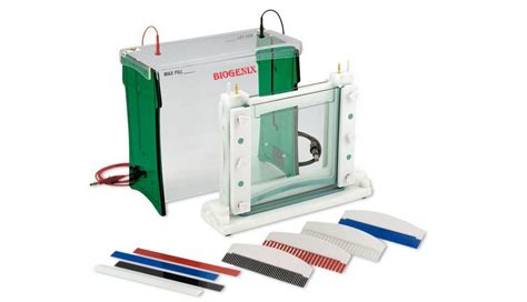 Vertical Gel Electrophoresis Biogenix Systems Pvt Ltd