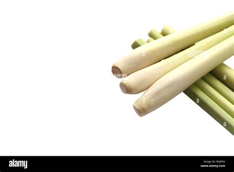 Fresh Lemongrass Isolated On White Background And Have Clipping Paths