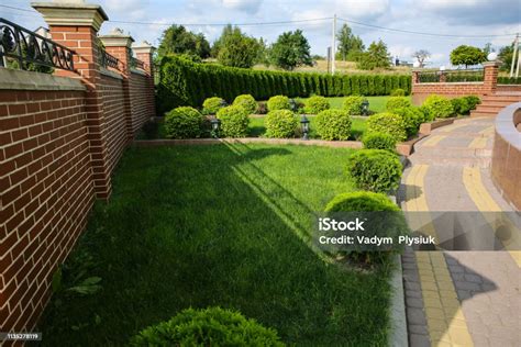 야외 돌 벽 근처의 녹색 잔디 여름 풍경 정원 디자인입니다 작은 둥근 관목과 측백나무 나무 Thuja에 대한 스톡 사진 및 기타 이미지 Istock