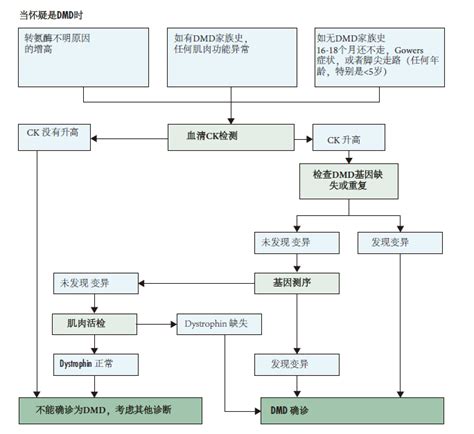 DMD家庭指南01概述 如何使用这个手册DMD 肌营养不良肌肉萎缩杜氏肌营养不良至爱杜氏肌营养不良关爱中心