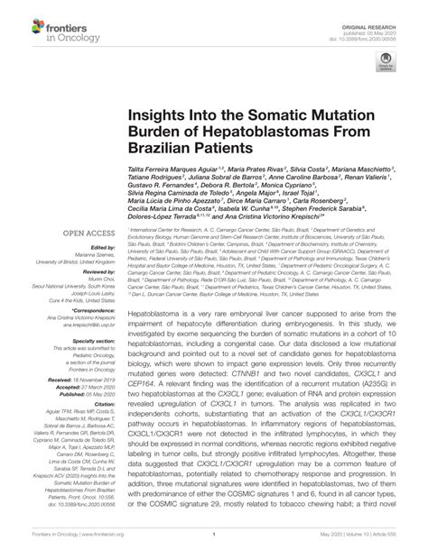 Pdf Insights Into The Somatic Mutation Burden Of Hepatoblastomas From
